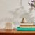 Conical Bud Vase - Artists and Objects